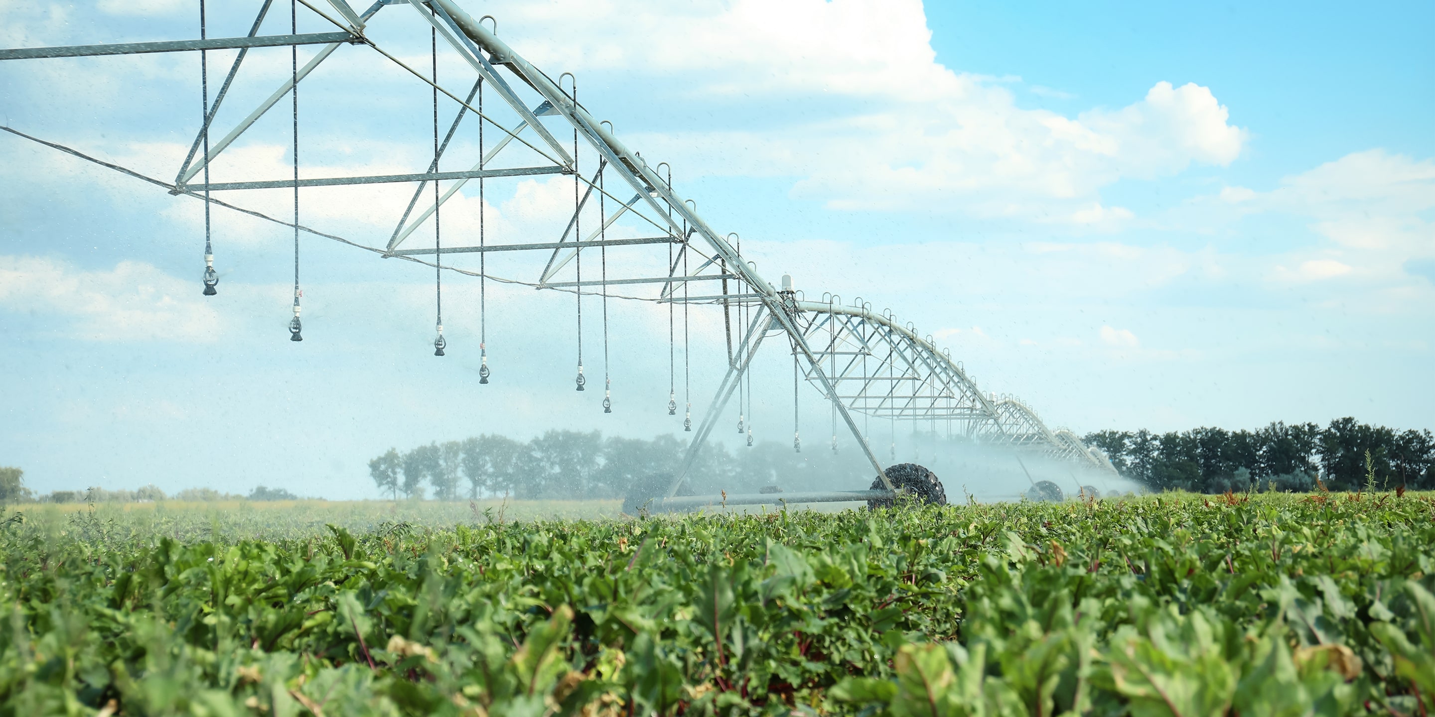 How Does Center Pivot Irrigation